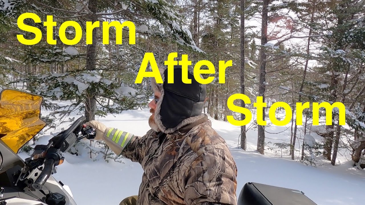 Winter Storms Vs Rabbit Snaring (The Battle Rages) - YouTube
