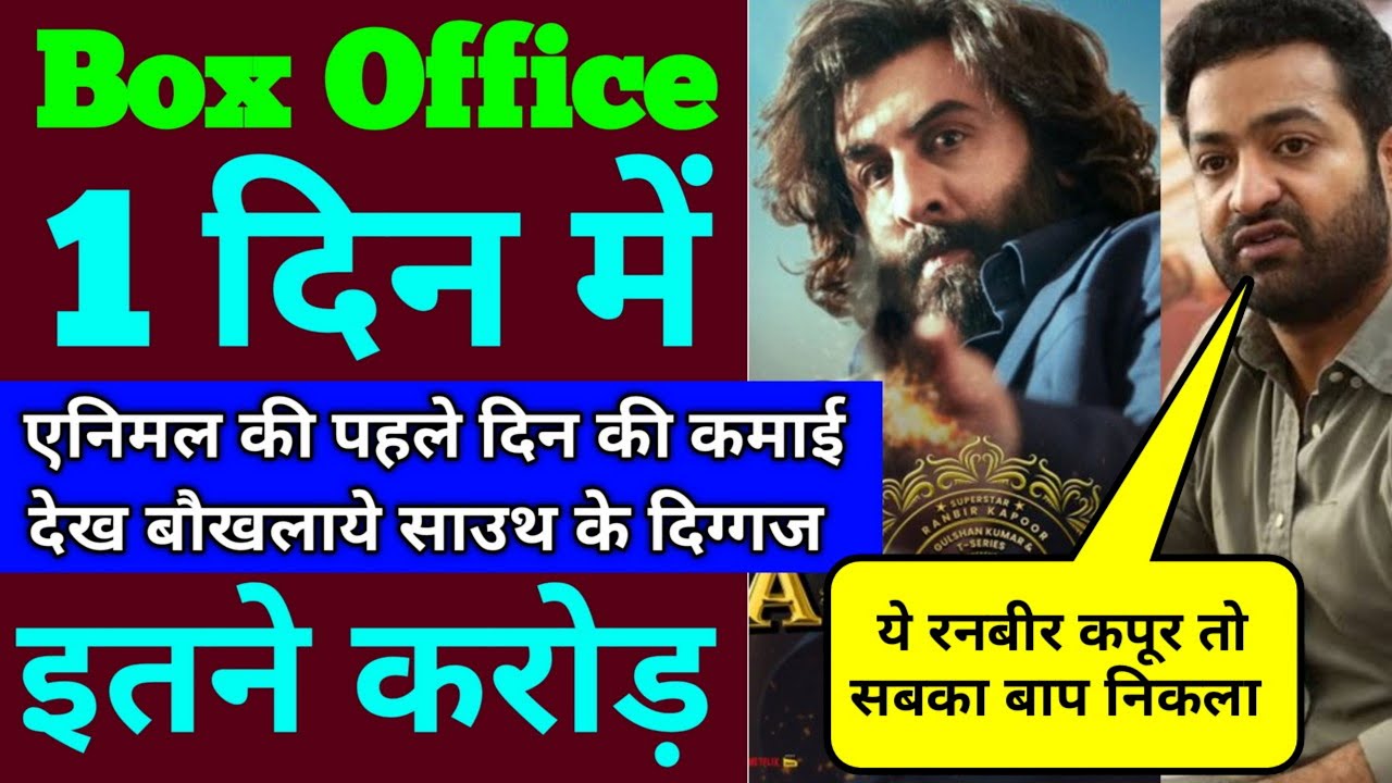 Animal Box Office Collection | Animal First Day Box Office Collection ...