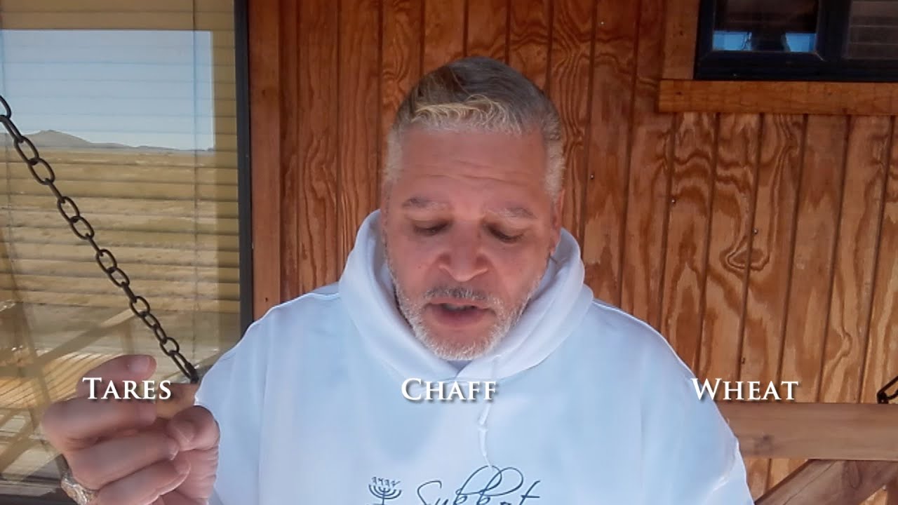 10 Differences Between The Tares, Chaff, and Wheat! - Remnant House ...