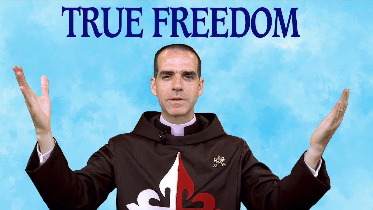 True Freedom ️ Daily Gospel Meditation ️ Fr. David | May 4, 2023 - YouTube