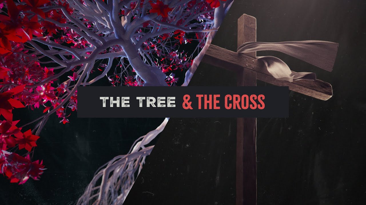 The Tree & The Cross - by Motion Worship - YouTube