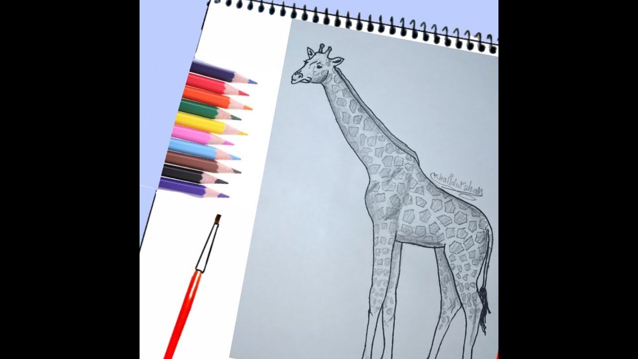 Drawing A Giraffe Step By Stepرسم زرافة خطوة بخطوة Youtube