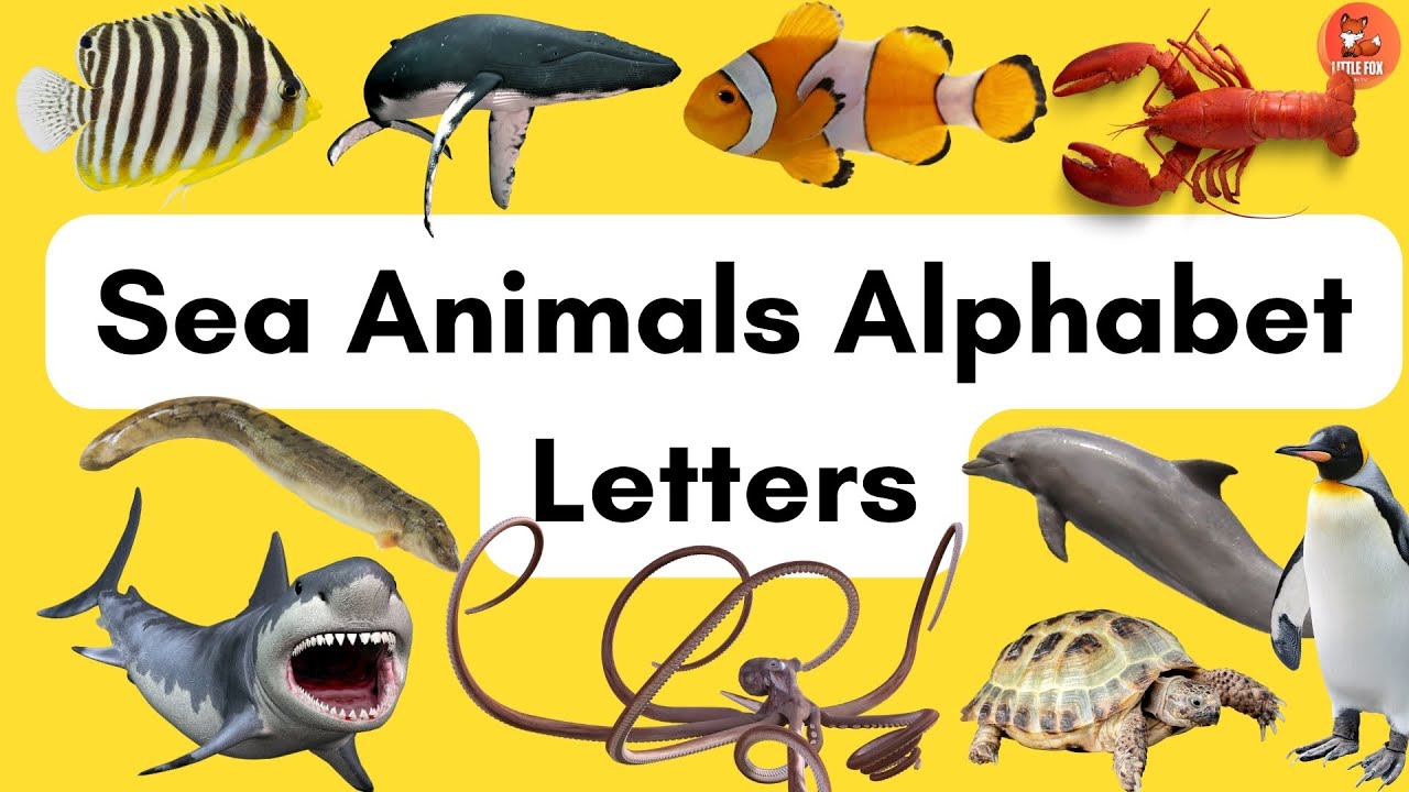 ABC Phonics | Learn Sea Animals Name with Alphabets for Preschooler # ...