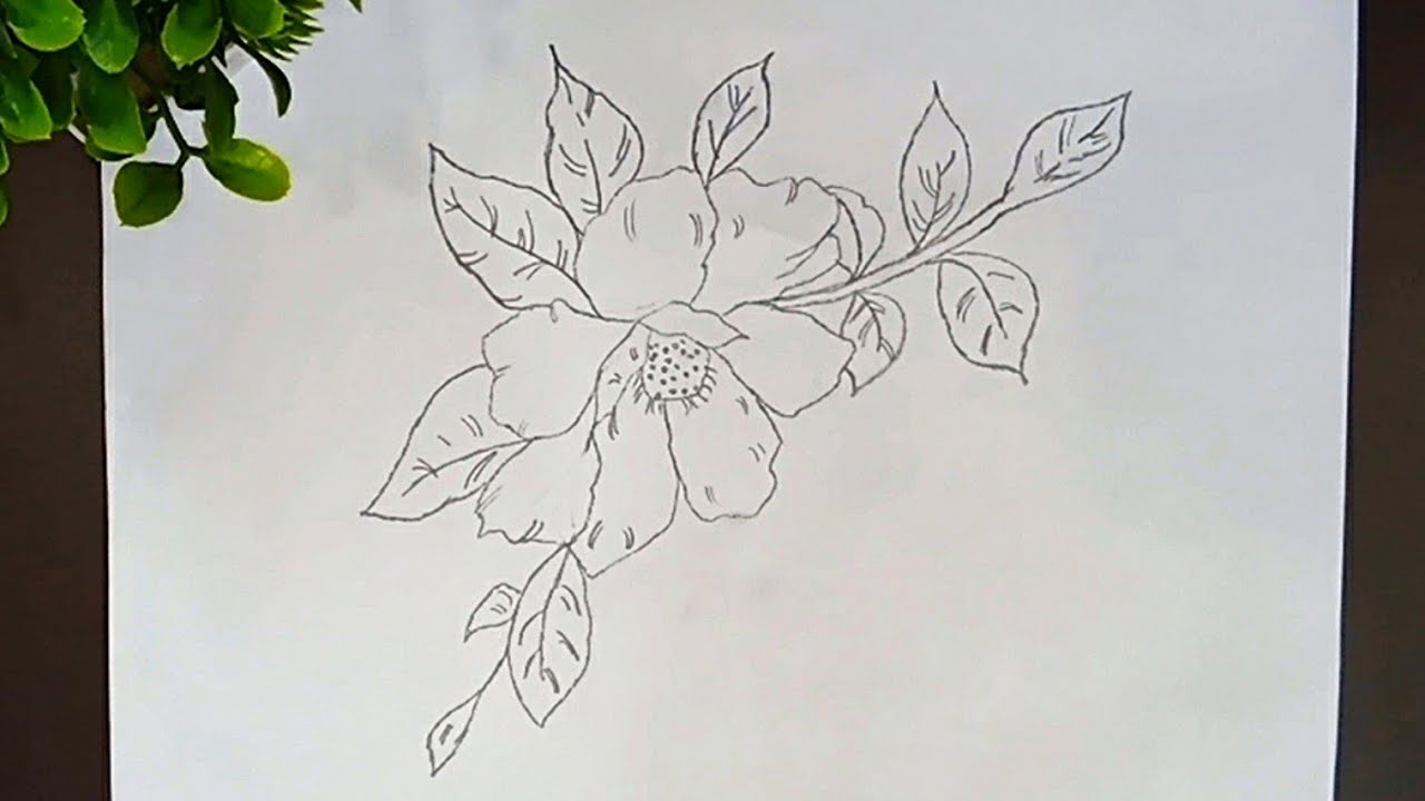 How To Draw A Flower With Easy Steps || Making Easy Flower Outline ...