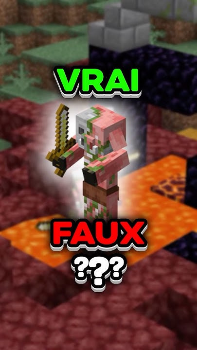Vrai ou Faux dans Minecraft ! #minecraft #minsqa - YouTube
