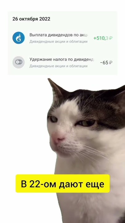 Газпром где дивиденды инвестиции заработок деньги финансы