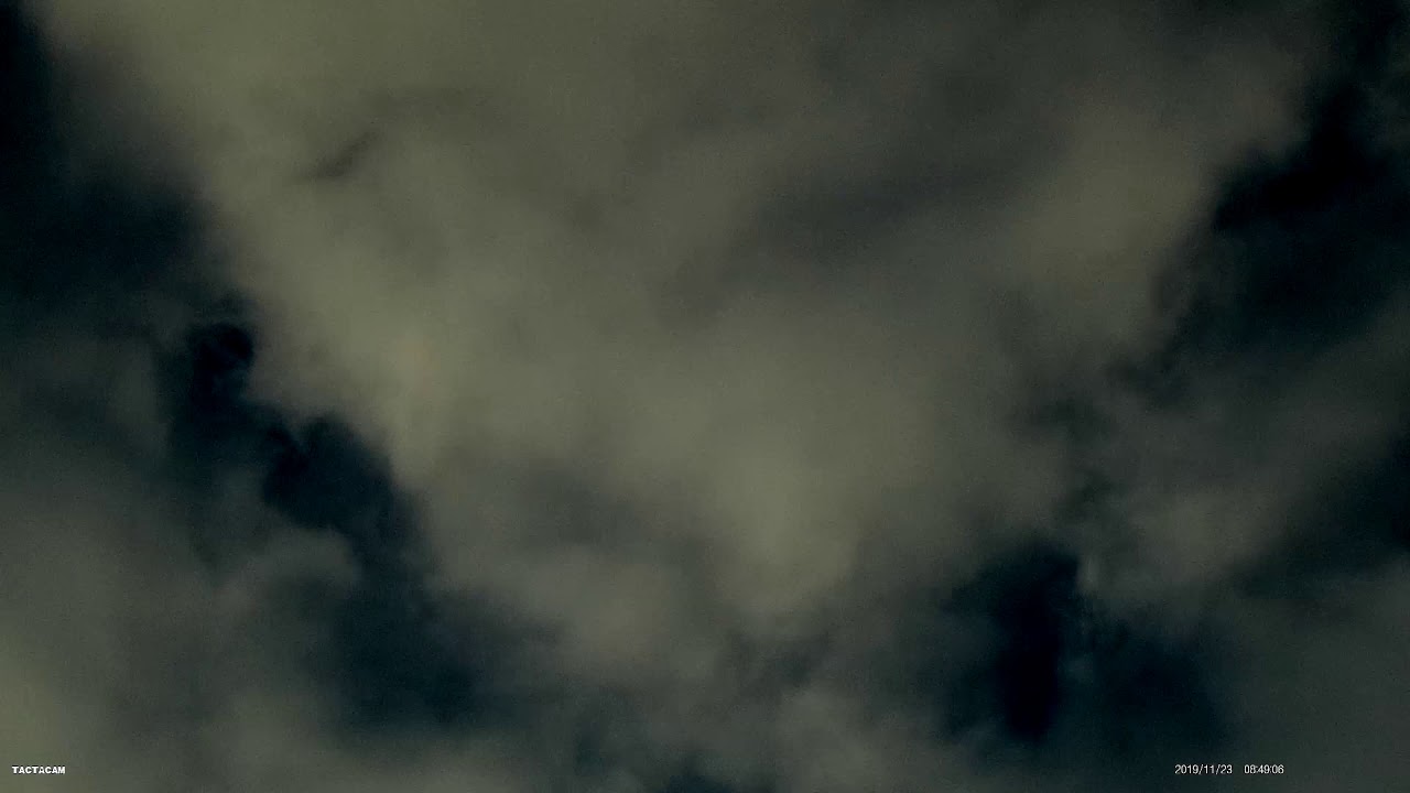 Lov na diva svinja live wild boar hunting lov. Grupa capunkari 12-2020 ...