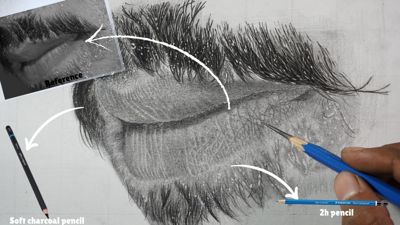How to Draw Realistic Lips | Easy & Detailed Guide - YouTube