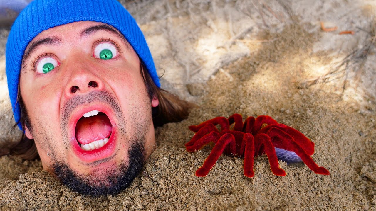Buried in Sand and there's a GIANT CREEPY SPIDER - YouTube