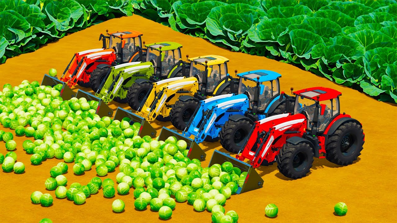 LOAD AND TRANSPORT CABBAGES WITH CASE & JOHN DERRE TRACTORS - Farming ...
