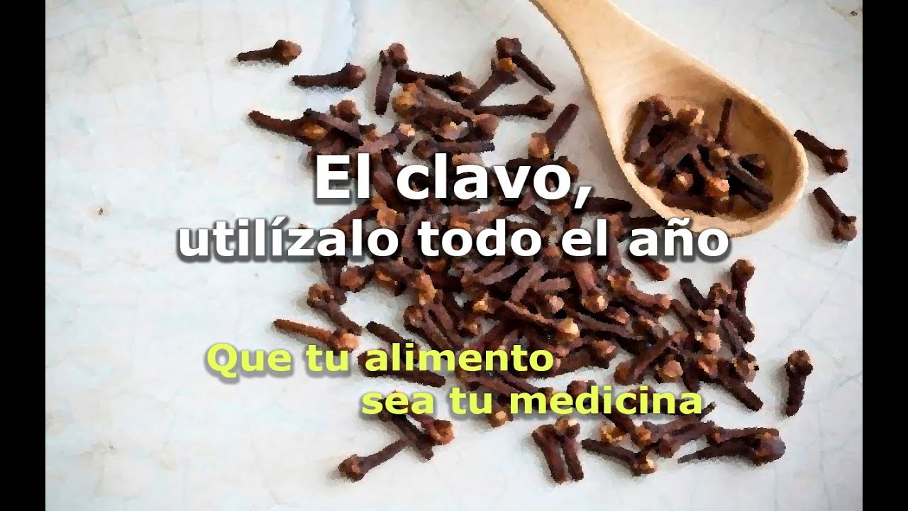 El clavo, utilízalo todo el año - Que tu alimento sea tu medicina - YouTube