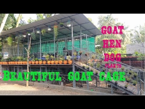 Beautiful goat cage modern goat cage - YouTube