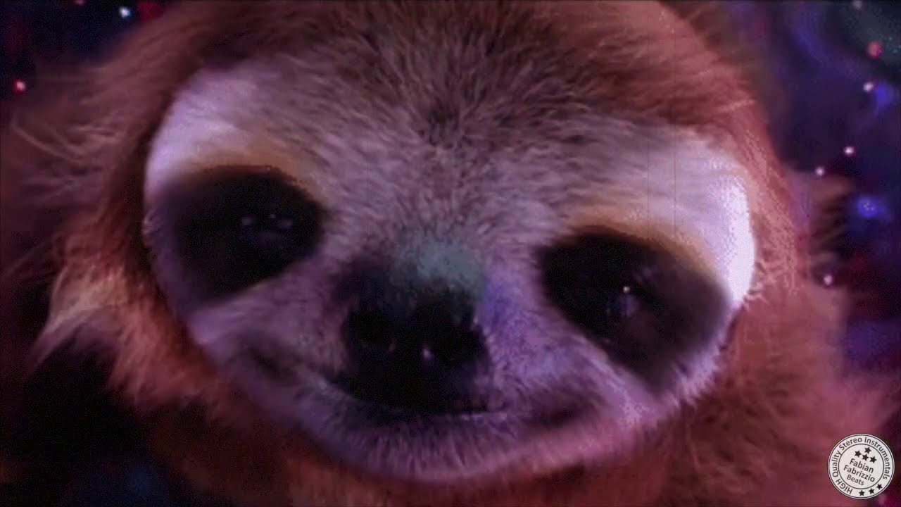 Fabian Fabrizzio - Slothz (official Video) - YouTube