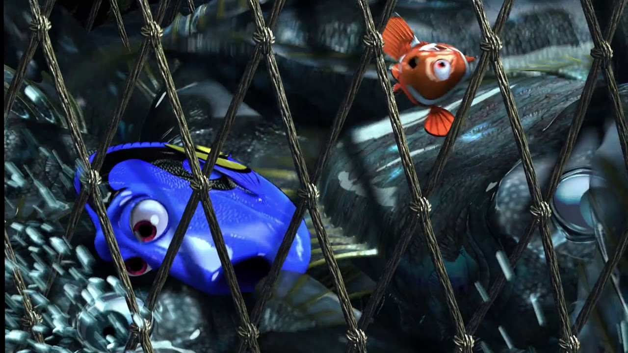 Saving Dory - YouTube