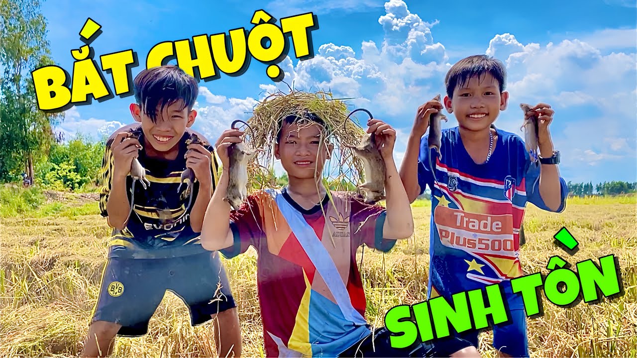 Anh Ba Báo TV | Thử Thách Sinh Tồn Bắt Chuột Mùa Lúa Chín - Bắt Gặp ...