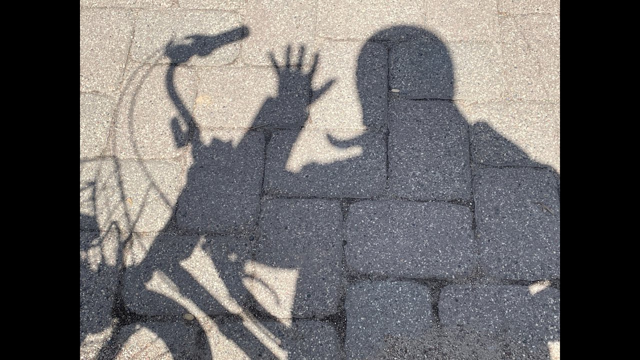 Ann Reed Live From Somewhere In Her House! Thursday, July 31, 7:00 pm ...