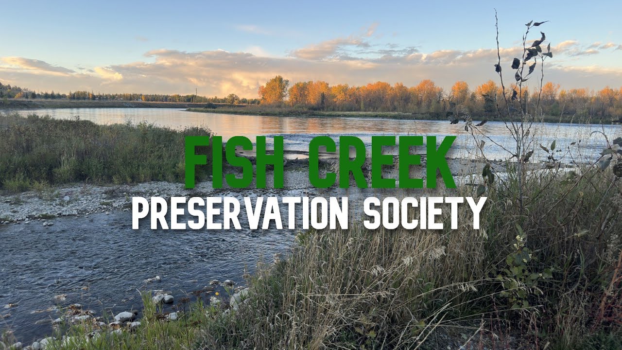 Did you know that Fish Creek... Video Advertisement (Fish Creek ...