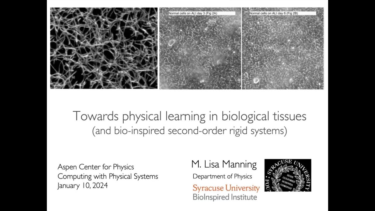 Towards physical learning in biological tissues - Lisa Manning (Jan ...
