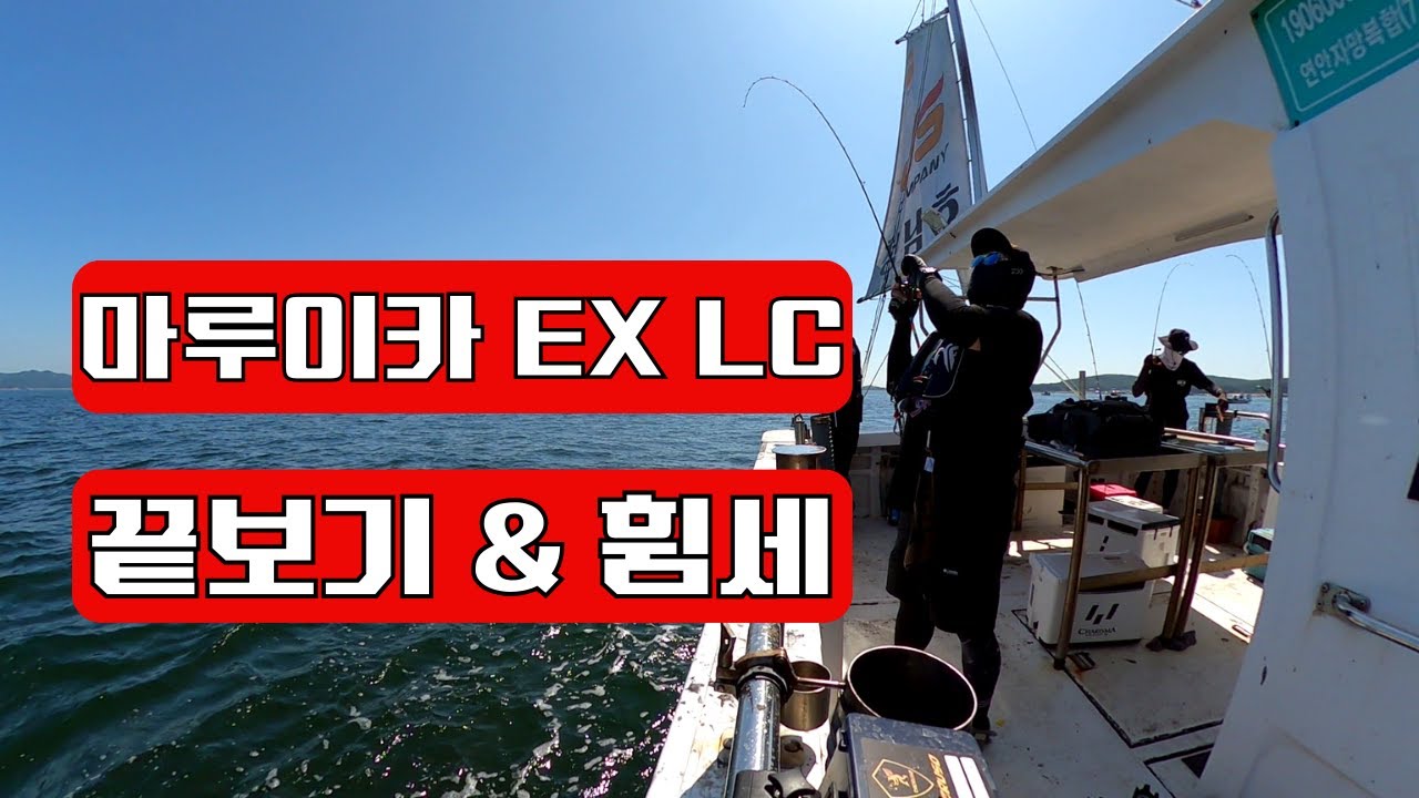 다이와 마루이카 EX LC 끝보기 & 휨세 확대 영상 (feat. 장원) - YouTube