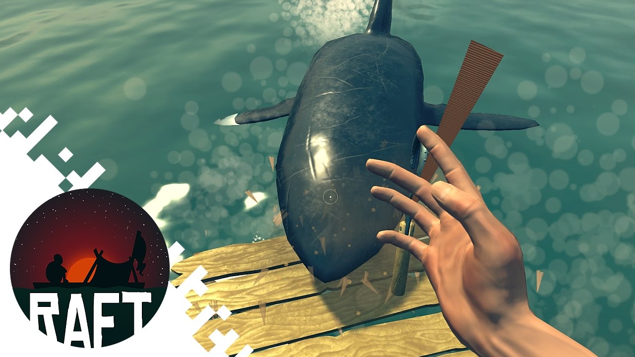RAFT - Sharks And Surviving And Stuff - YouTube