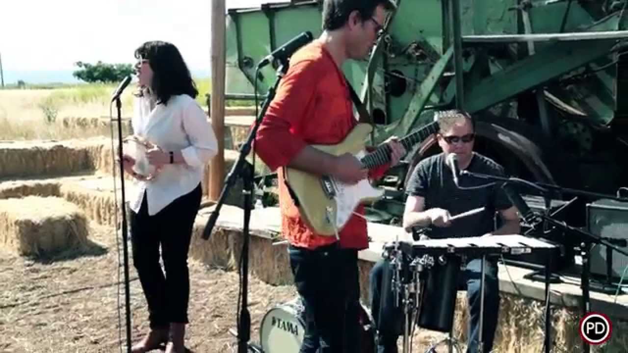 Neil Michael Hagerty & The Howling Hex - Dice (Live on PressureDrop.tv ...