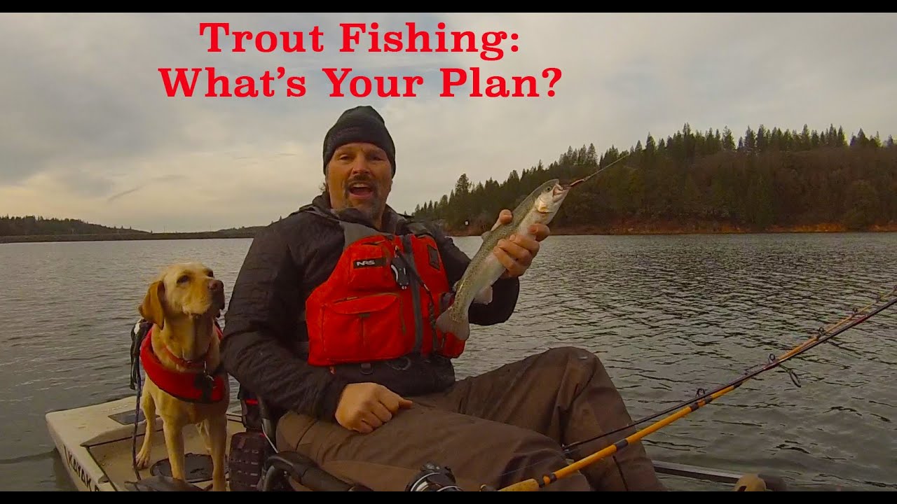 Trout Fishing: What's Your Plan? - YouTube