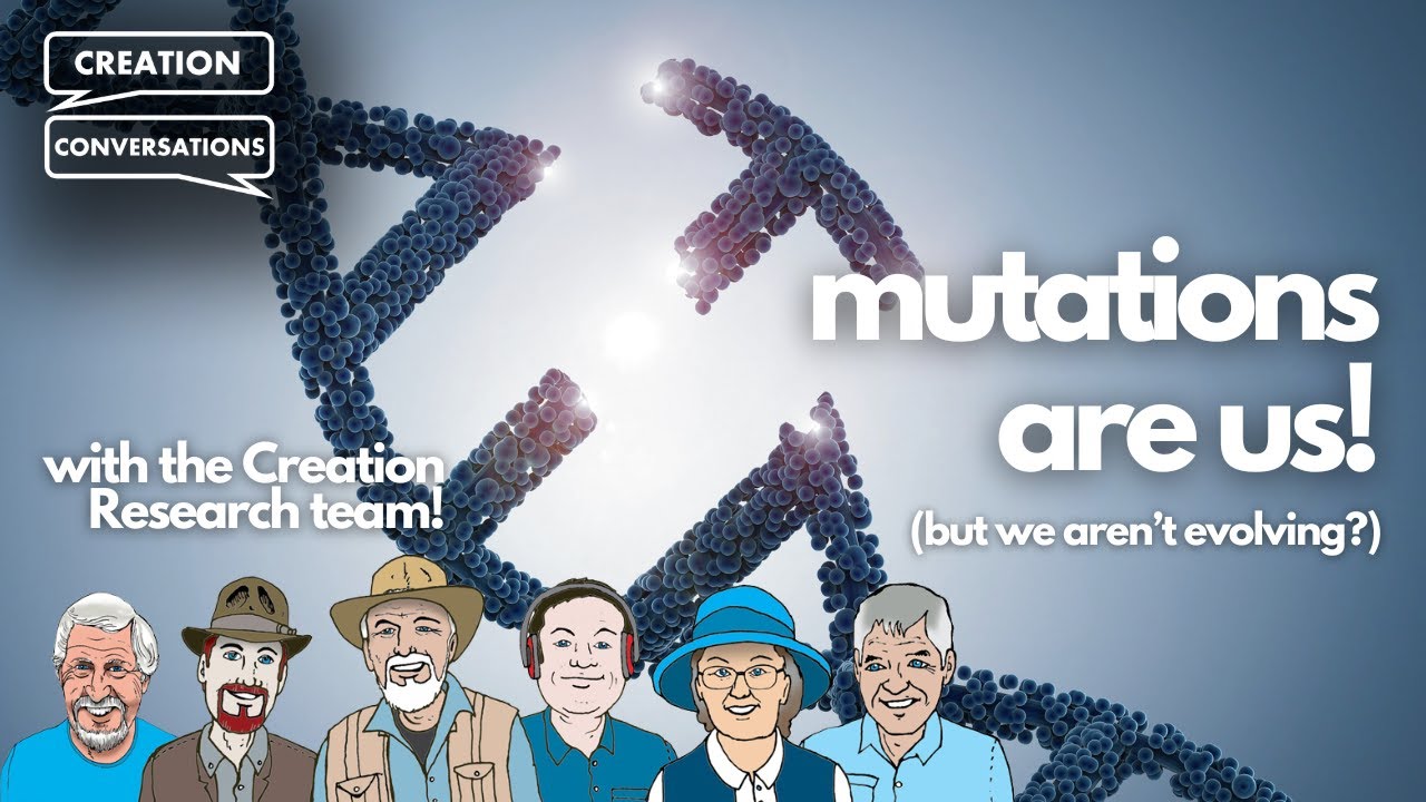 Mutations Are Us! (but why aren't we evolving?) - Creation ...