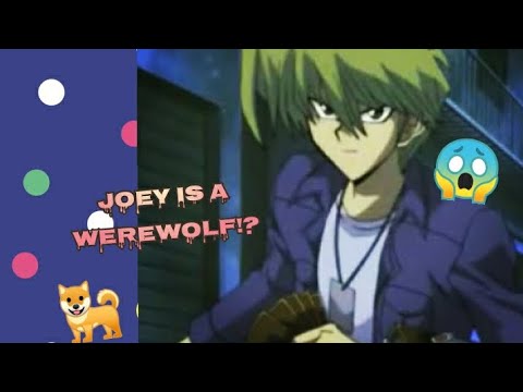 Joey is a Werewolf!? 😍🐺 (Werewolf Joey x Listener) (Cute/Funny) - YouTube