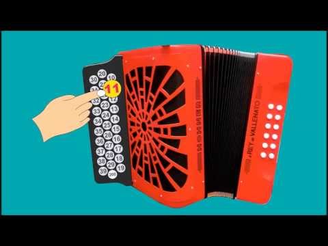 NOTAS EN EL ACORDEON DE SOL - YouTube