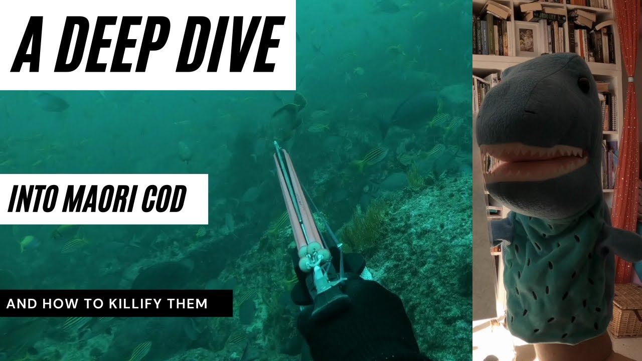 a deep dive into Maori cod and how to killify them - YouTube