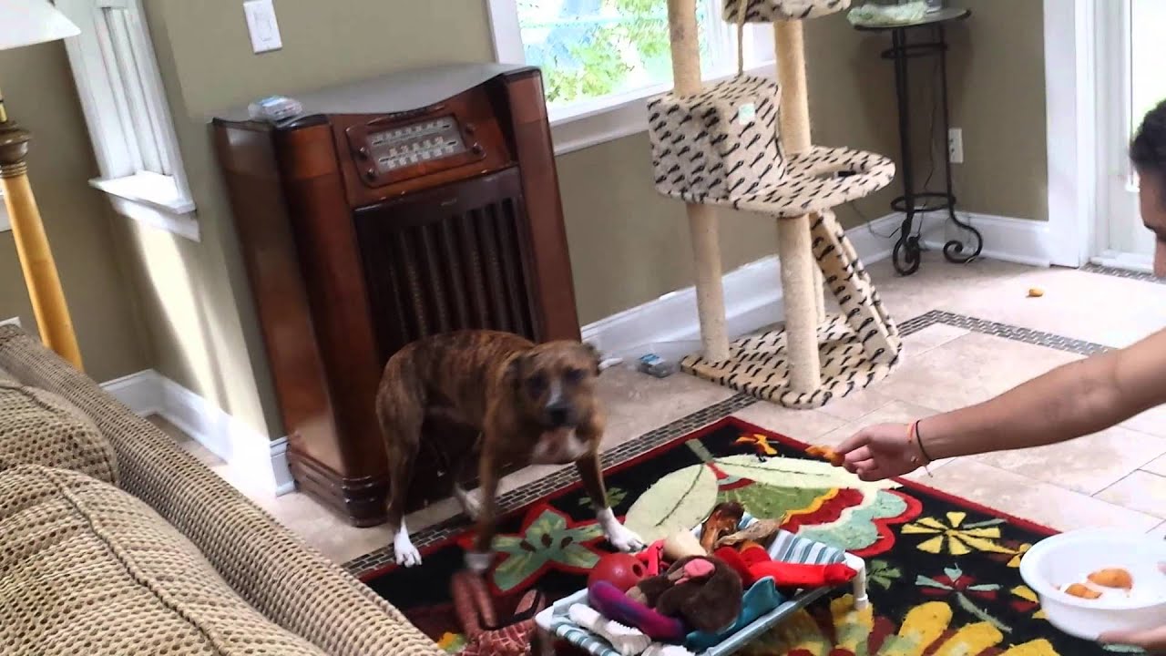 The Jake and Addie Show - YouTube