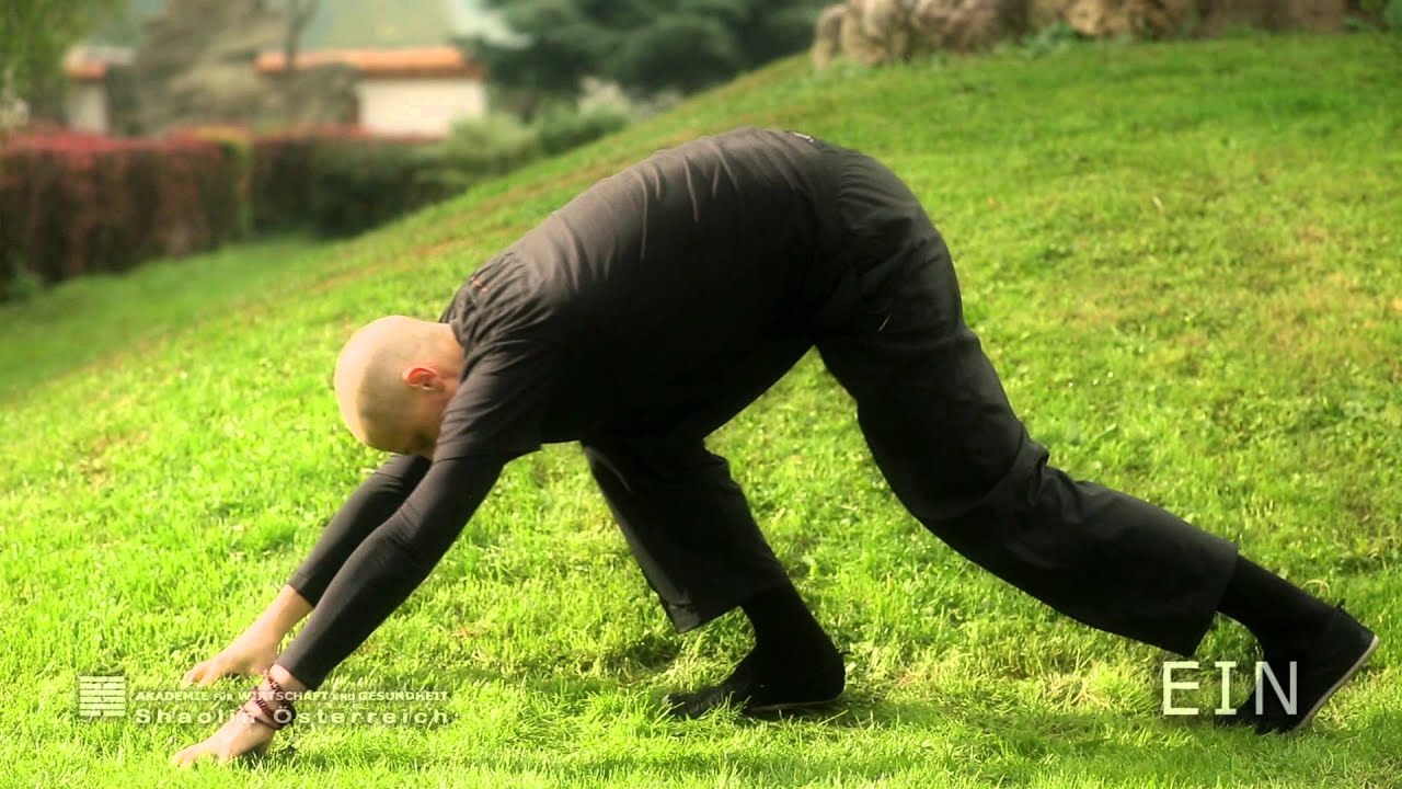 10. Bewegung Shaolin Yi Jin Jing Qi Gong - Shaolin Österreich - YouTube