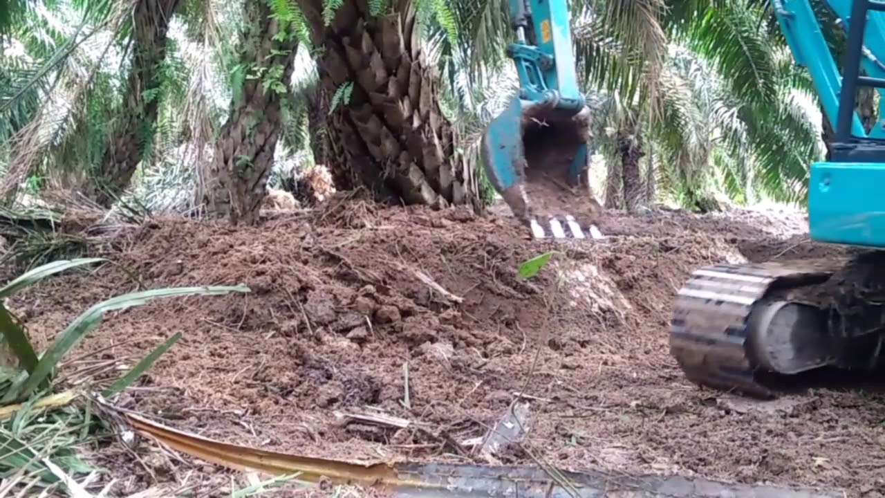 Cara pembuatan tapak timbun sawit#bb - YouTube