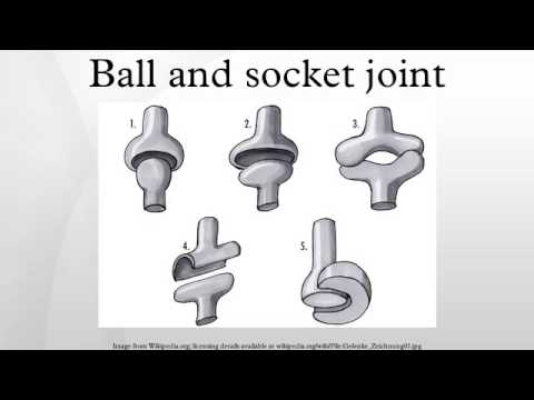 Ball and socket joint - YouTube