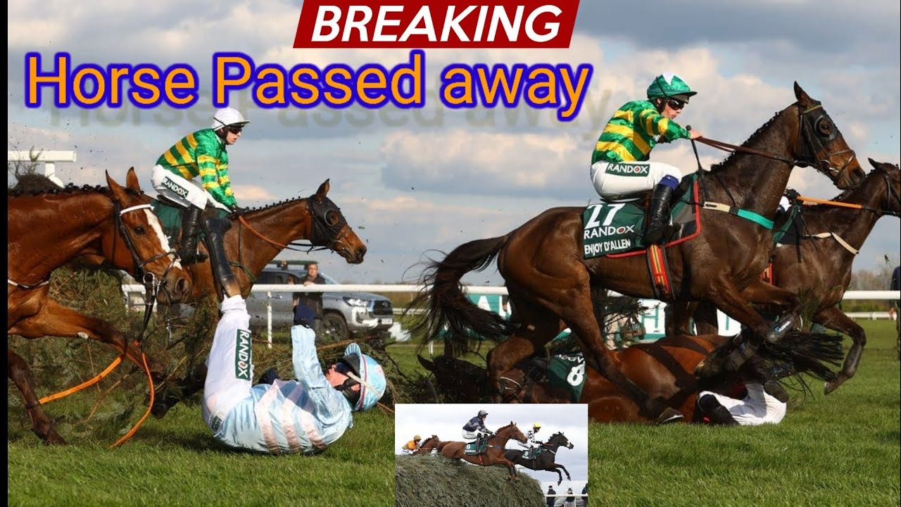 Grand National Festival marred by second tragedy as Pikar dies after ...