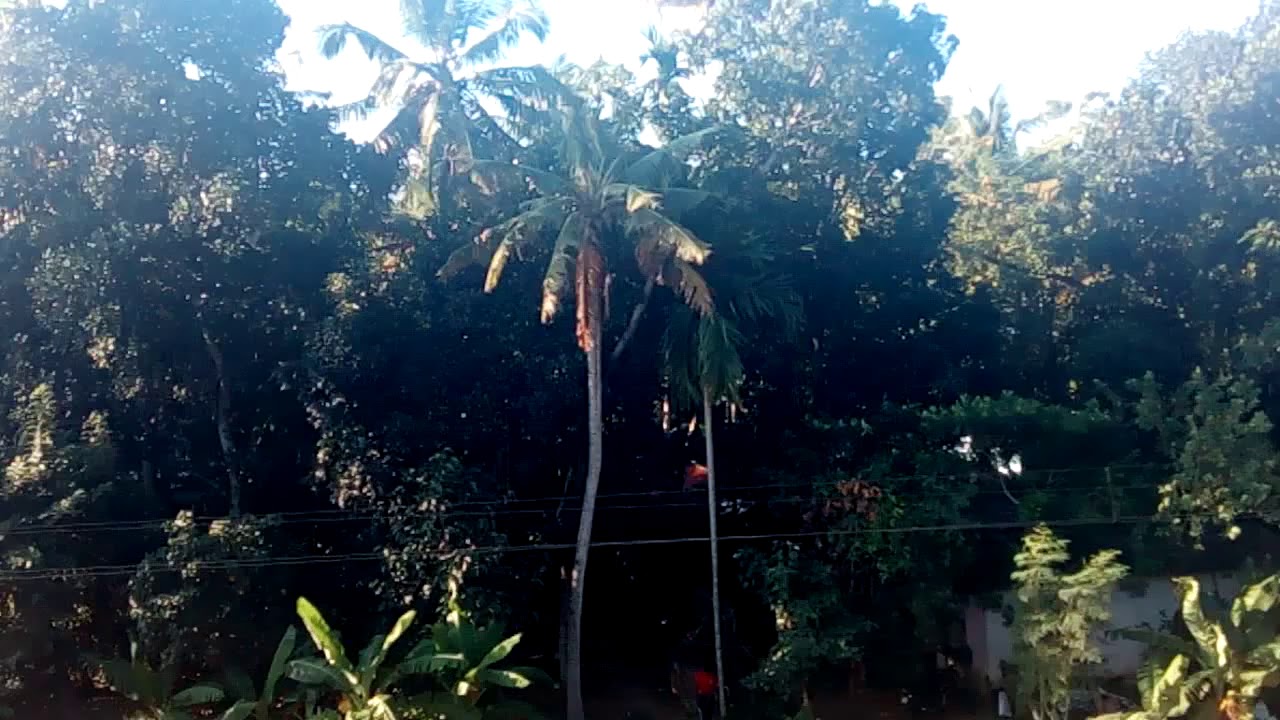 Mandrothuruth - Kollam - Beautiful Tourism Destination - YouTube