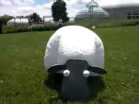 Robot Sheep at CMU - YouTube