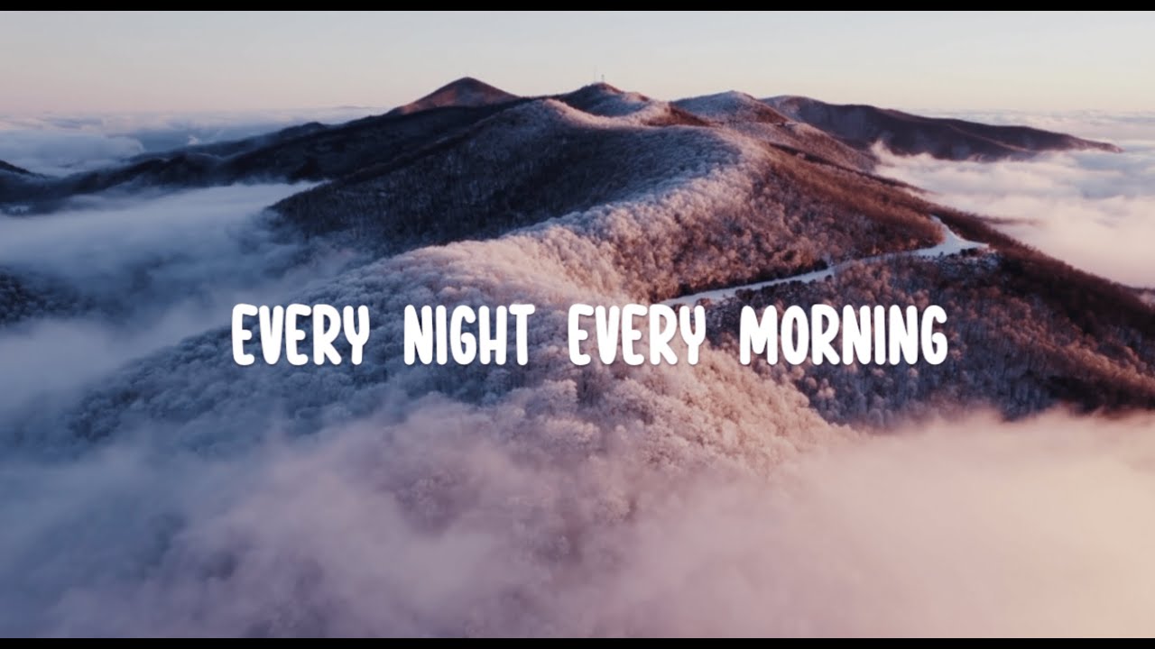 Maddie & Tae - EVERY NIGHT EVERY MORNING (Lyrics) - YouTube