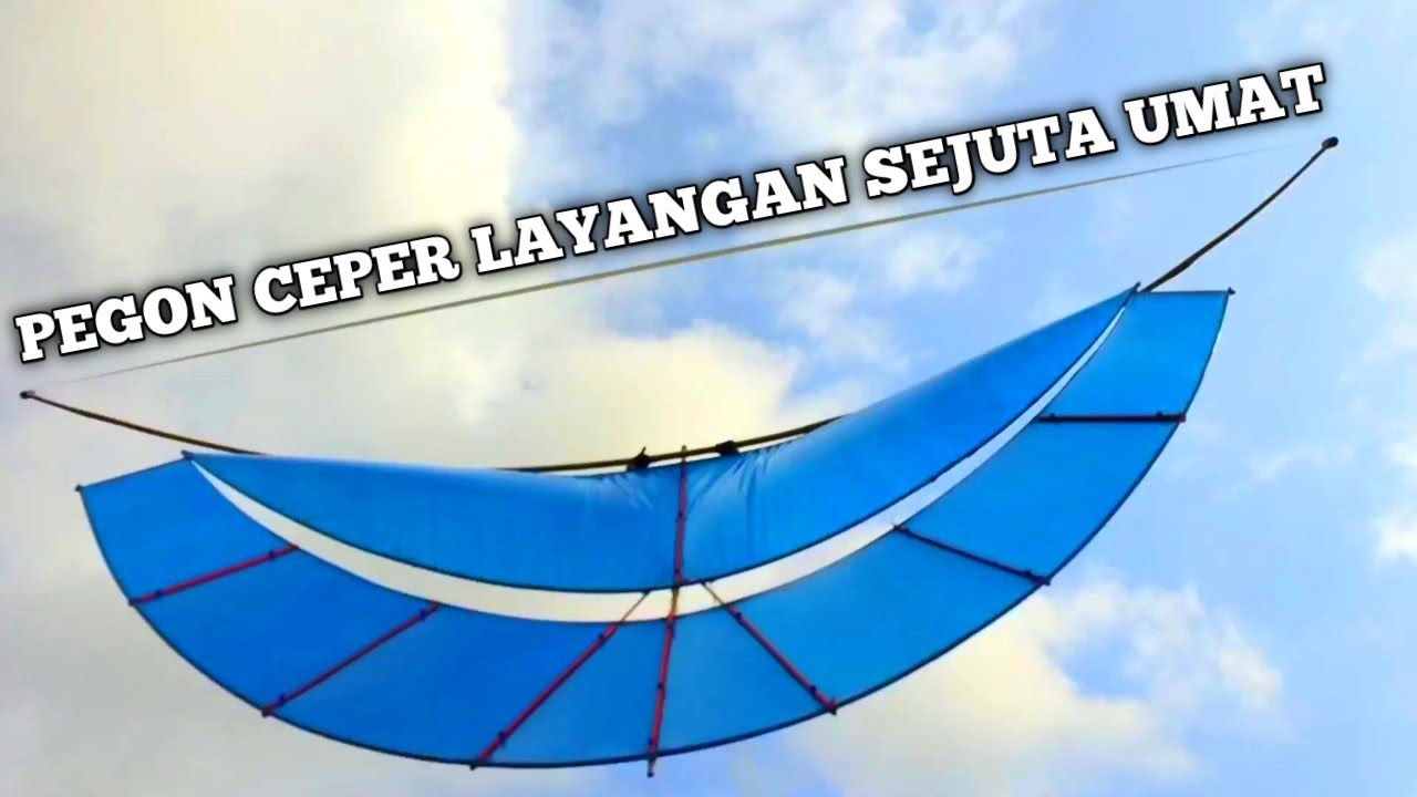 Gapangan Pegon Ceper Layangan Sejuta Umat, Kenapa Sih Kalian Suka Pegon ...