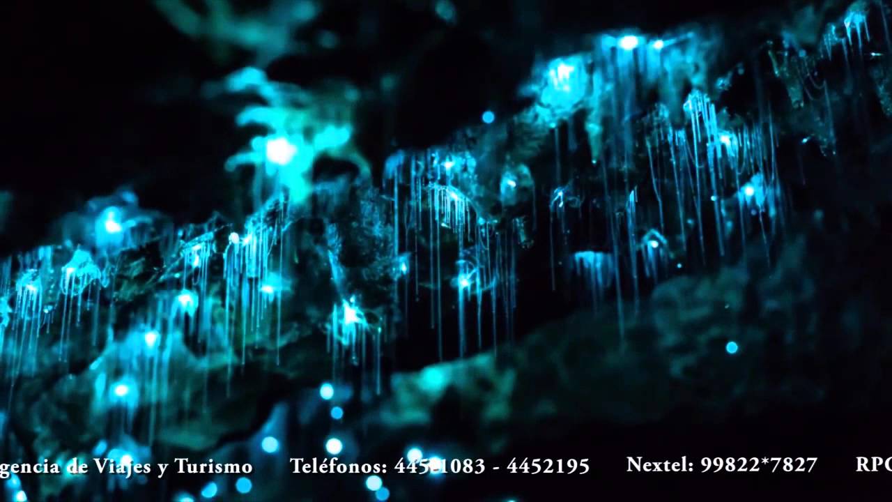 Cueva de las luces (Waitomo, Nueva Zelanda) - YouTube