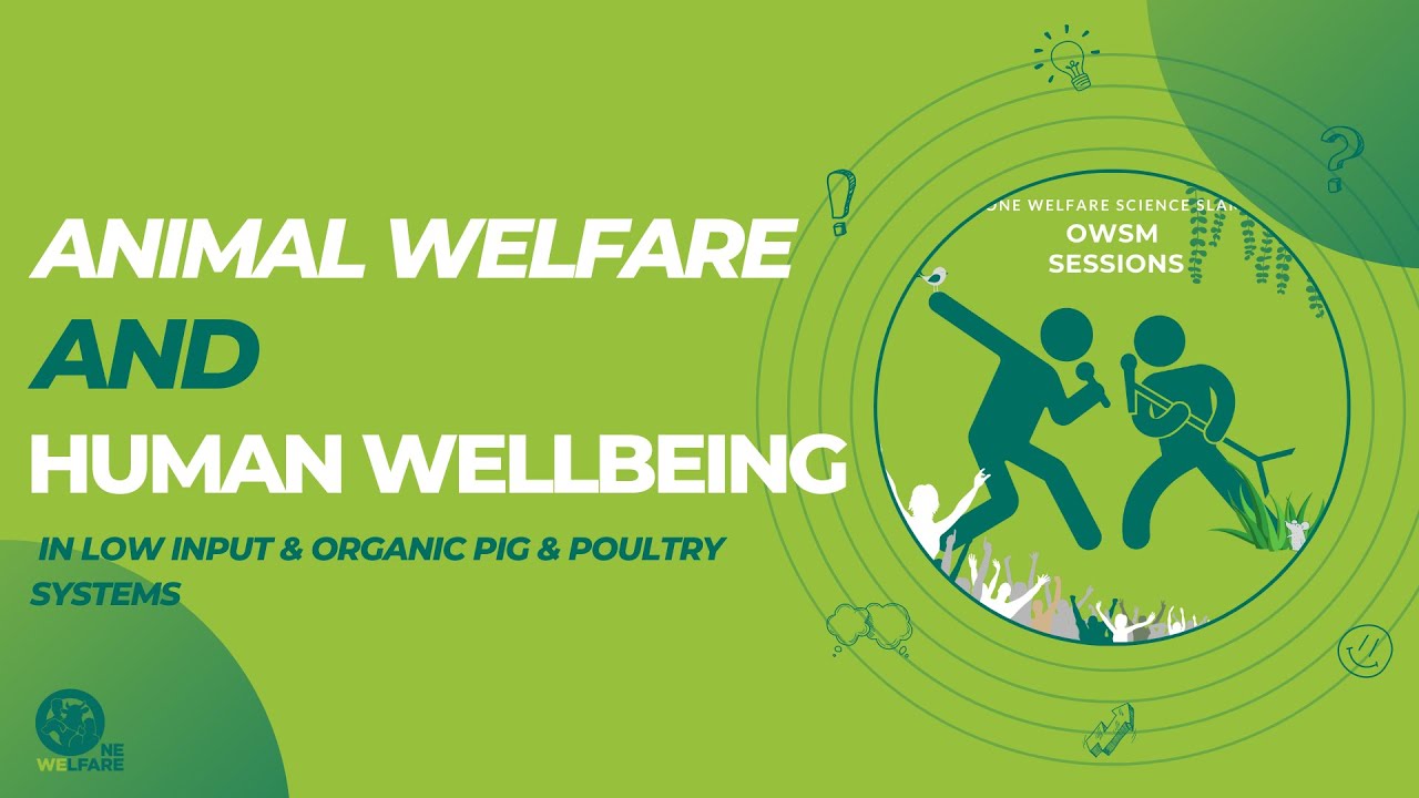 Innovations for improving animal welfare and human well-being in ...