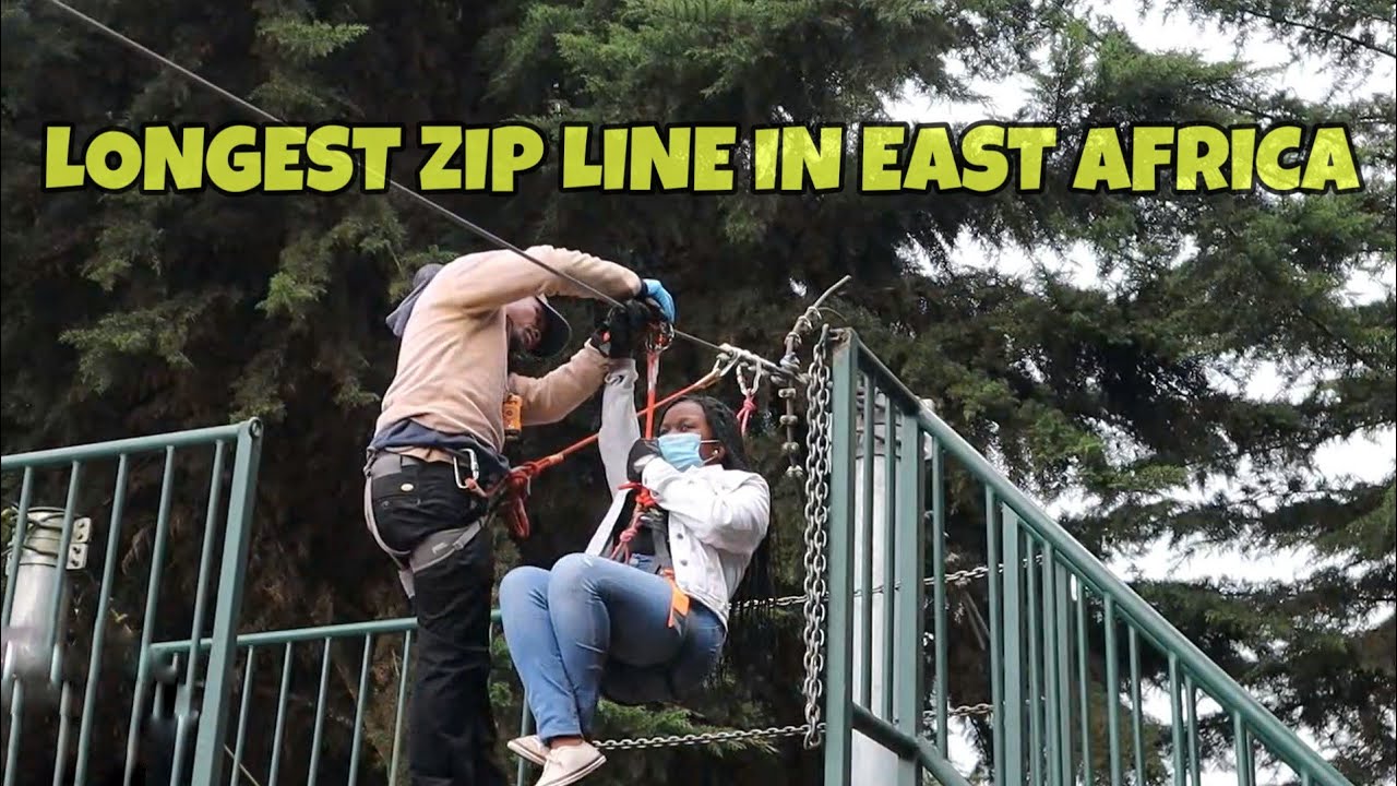 EVERYTHING YOU NEED TO KNOW ABOUT ZIP LINING AT THE FOREST, KEREITA ...