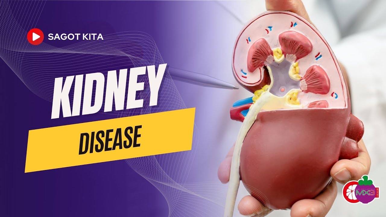 Bakit mahalagang pangalagaan ang ating kidneys? - YouTube
