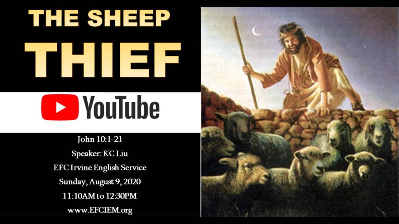 20200809 The Sheep Thief - YouTube