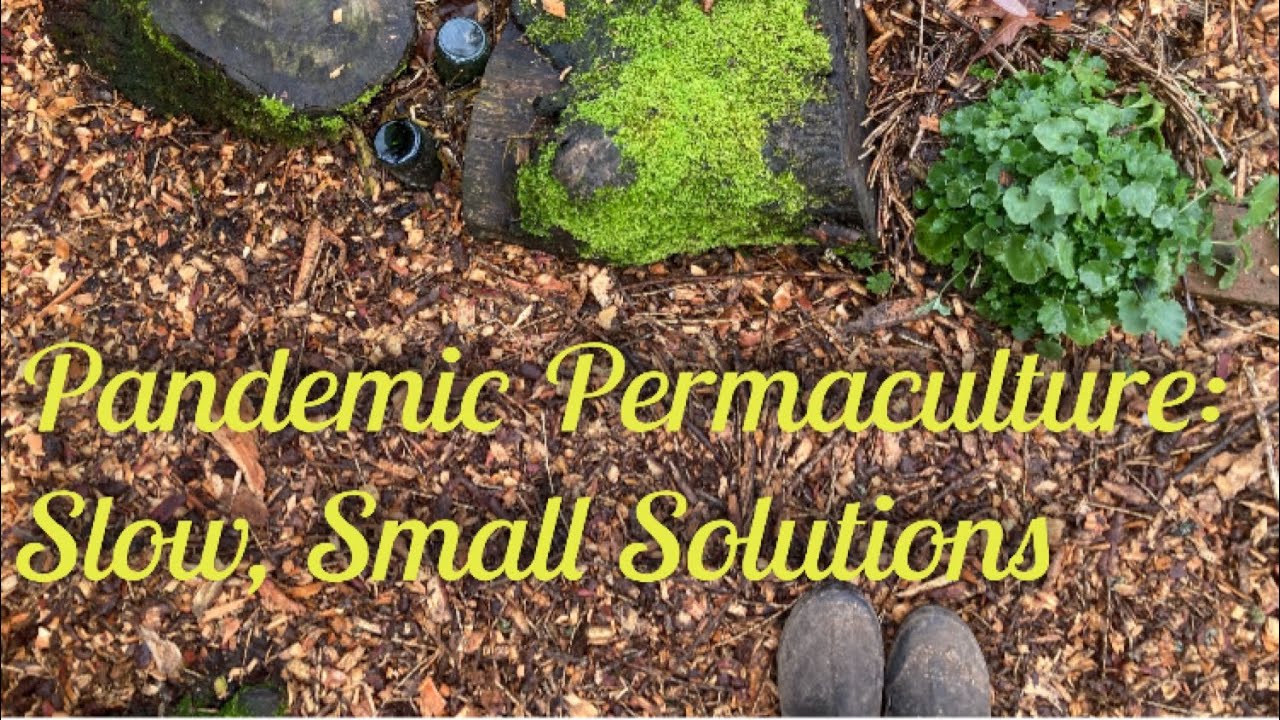 Slow, Small Solutions: The Solution IS to Focus on the Slow and the ...