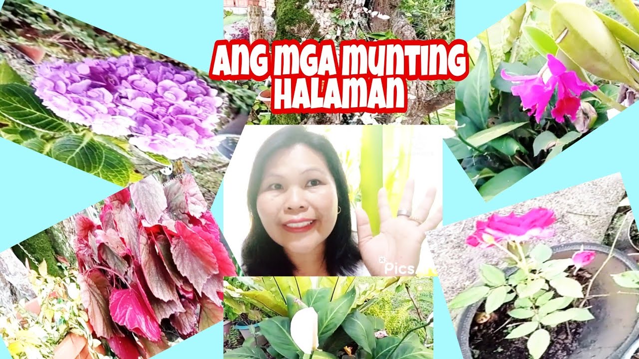 (29) Ang mga munting halaman - YouTube