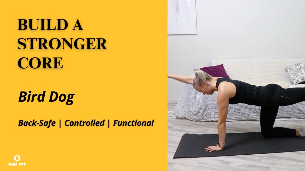 Bird Dog Exercise | Core Stability & Lower Back Control Made Simple ...
