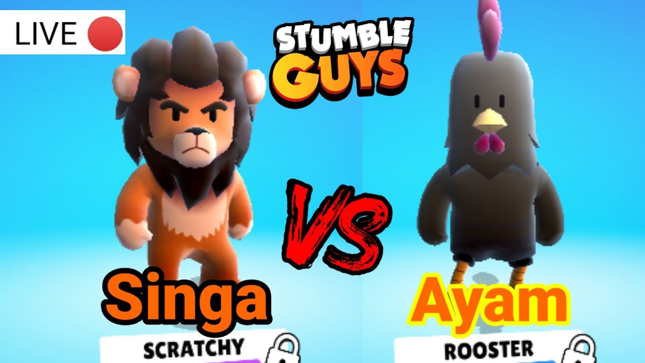 LIVE 🛑 SINGA VS AYAM ! STUMBLE GUYS ! | KUCING GAMING - YouTube