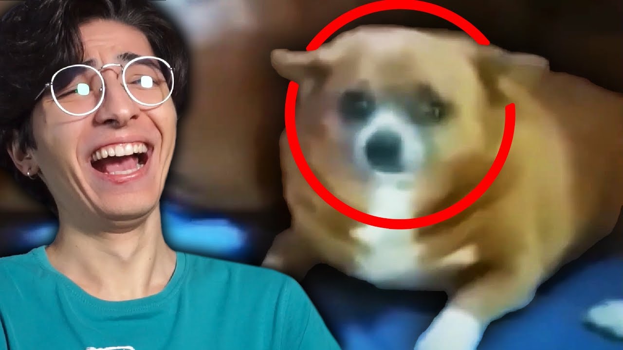 Ranking Your EVIL TikToks - YouTube