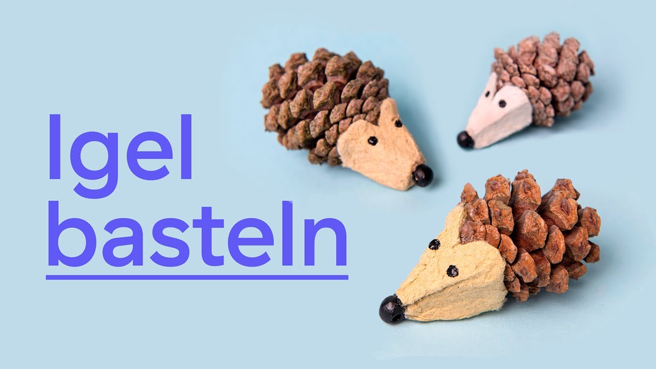 Igel Basteln Aus Tannenzapfen